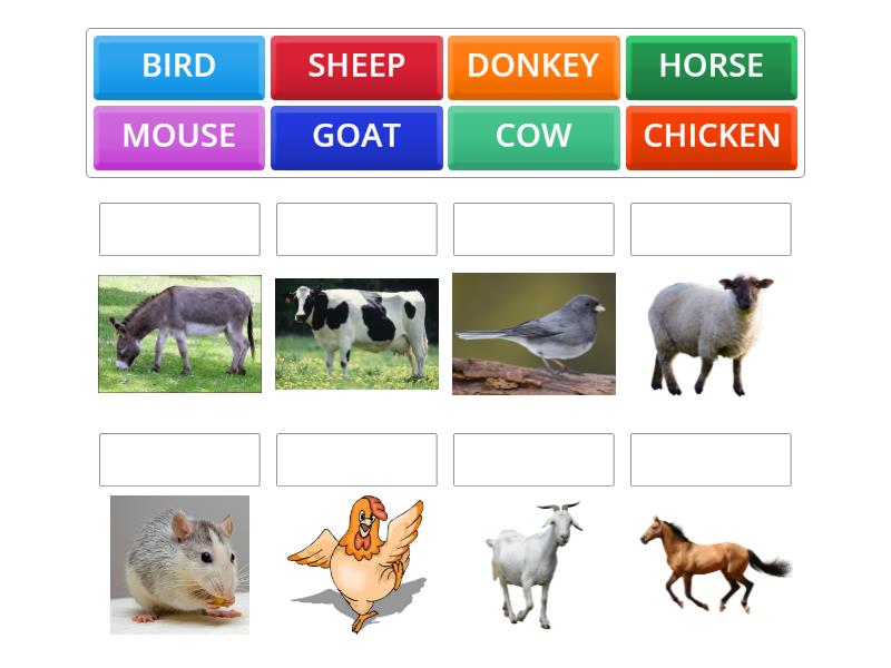 UNIT 2 - Une las parejas