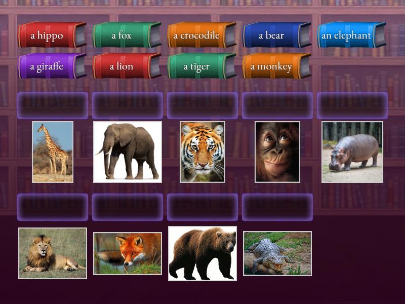 animals 3 form - Match up