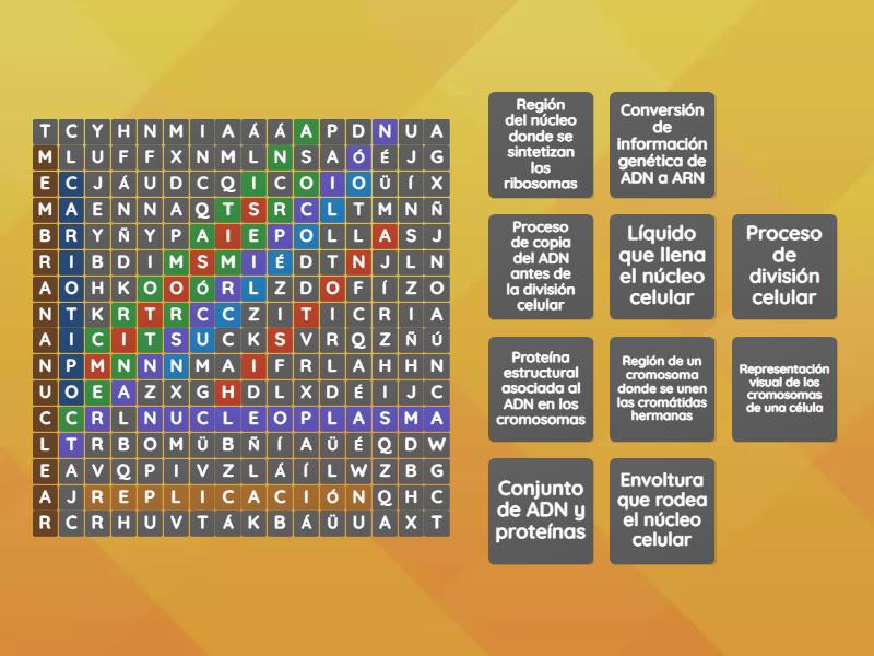conjunto de preguntas -, ADN Y ARN - Sopa de letras