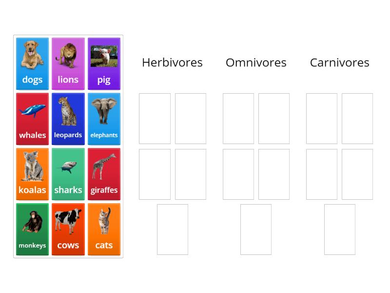 Herbivores, Omnivores, and Carnivores - Group sort