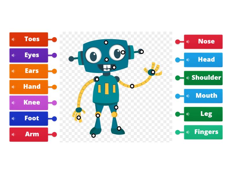 The Robot - parts of the body - Labelled diagram