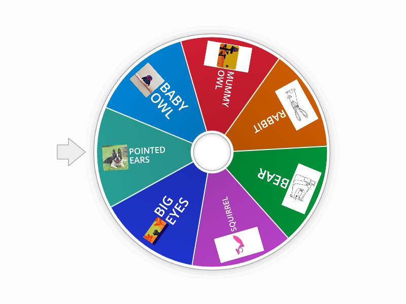 A BIT LOST - Spin the wheel