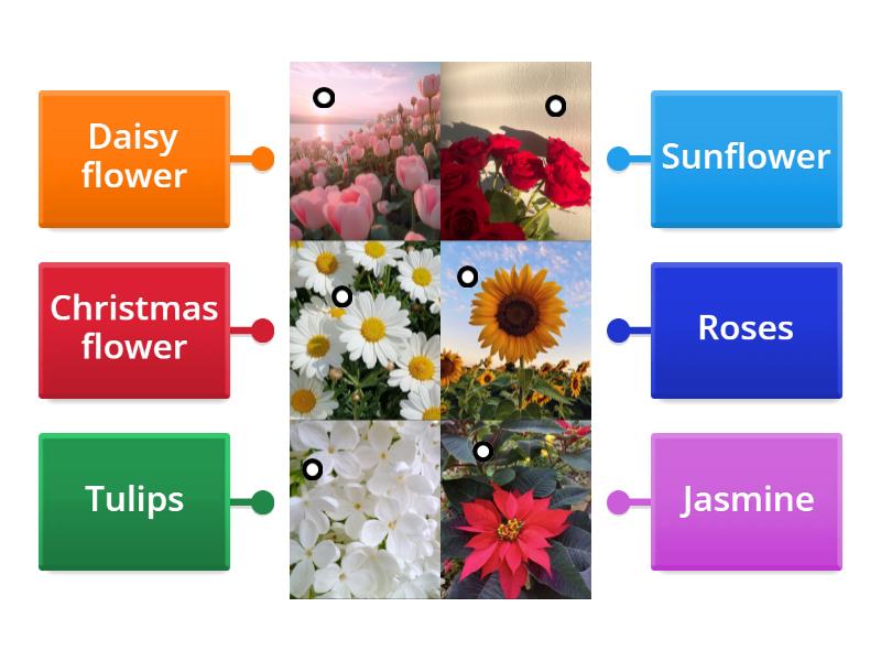 TYPES OF FLOWERS. - Labelled diagram