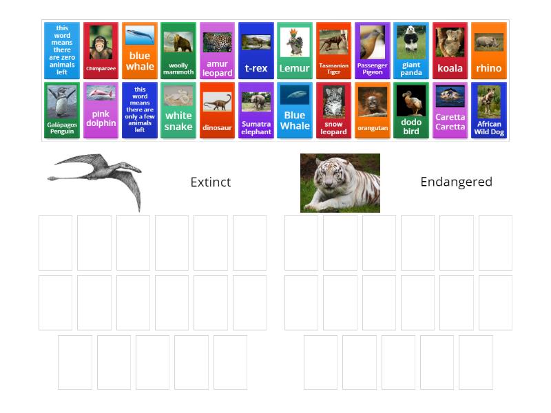 EXTINCT & ENDANGERED 2024 - Group sort