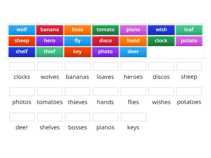 Singular and Plural - Match up