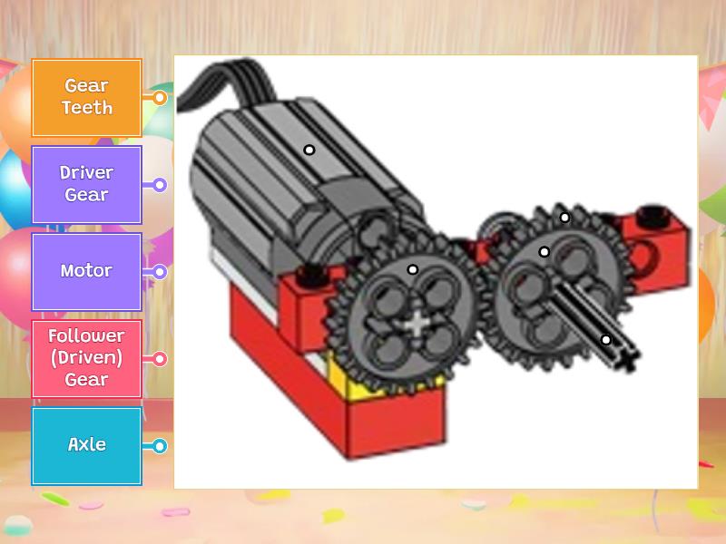 Two 24-teeth Gears Model : - Labelled diagram