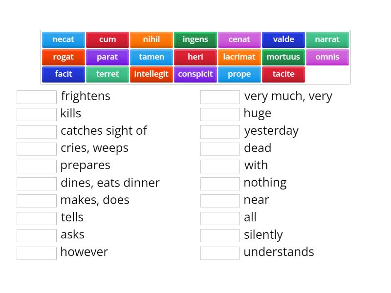 CLC Stage VII (7) Vocabulary - Match up