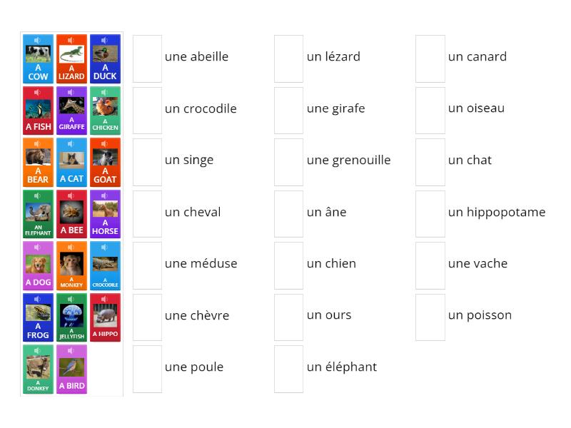 A1 Movers Animals (1/2) RELIER - Match up