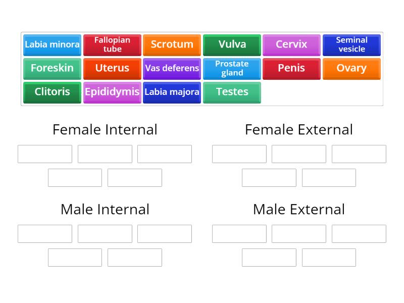 Reproductive Systems - Group sort
