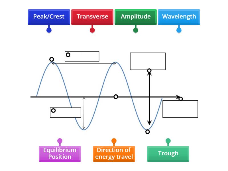 Labeling a Transverse Wave - Labelled diagram