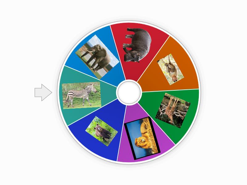 Zoo animals - Spin the wheel