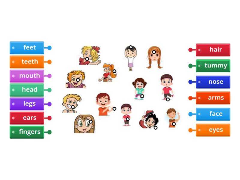 Leah labelling body - Labelled diagram