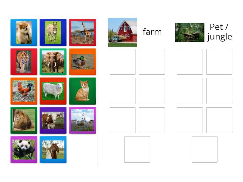Kindy 2 Unit 4 - Group sort