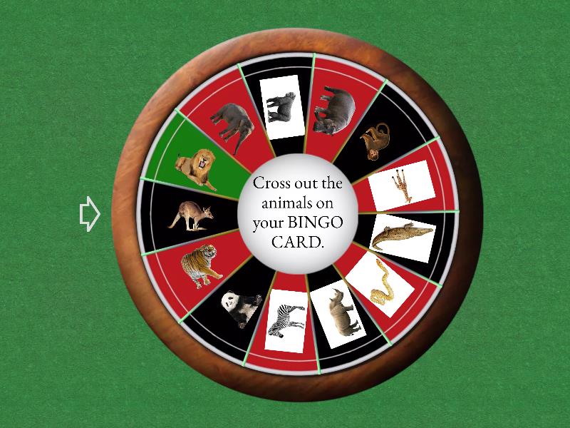 WILD ANIMALS - BINGO - Spin the wheel