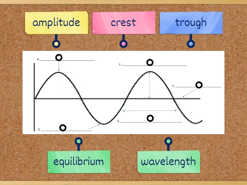 Transverse waves label - Labelled diagram
