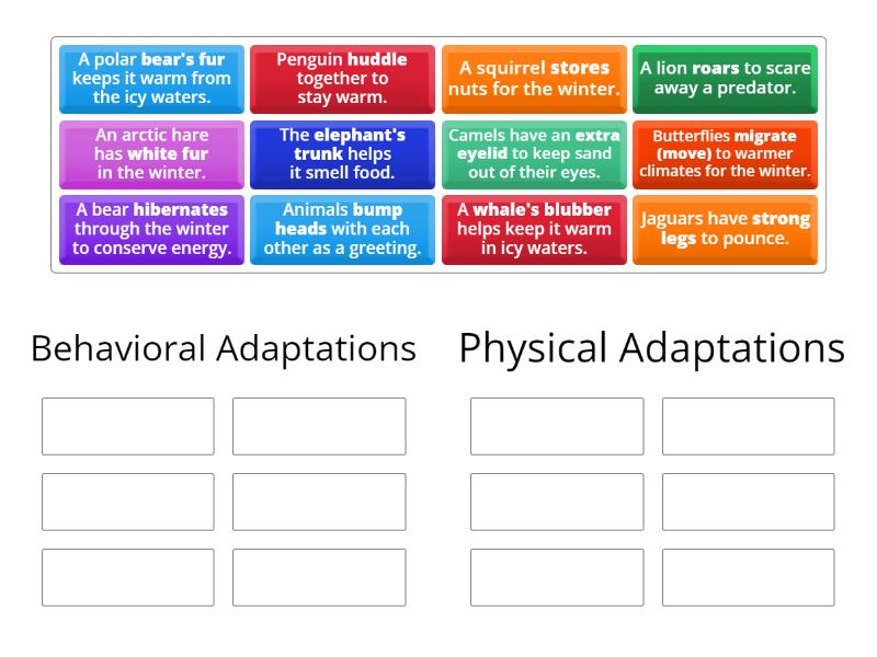 Behavioral or Physical Adaptation? - Group sort