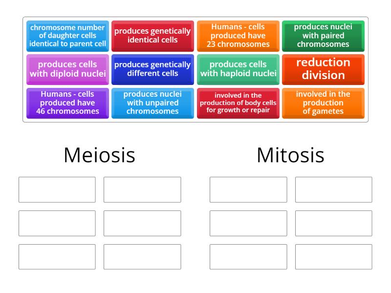 Comparing meiosis and mitosis (based on Cambridge IGCSE markscheme ...