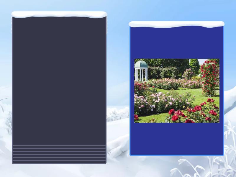 as2 unit 4 - Speaking cards