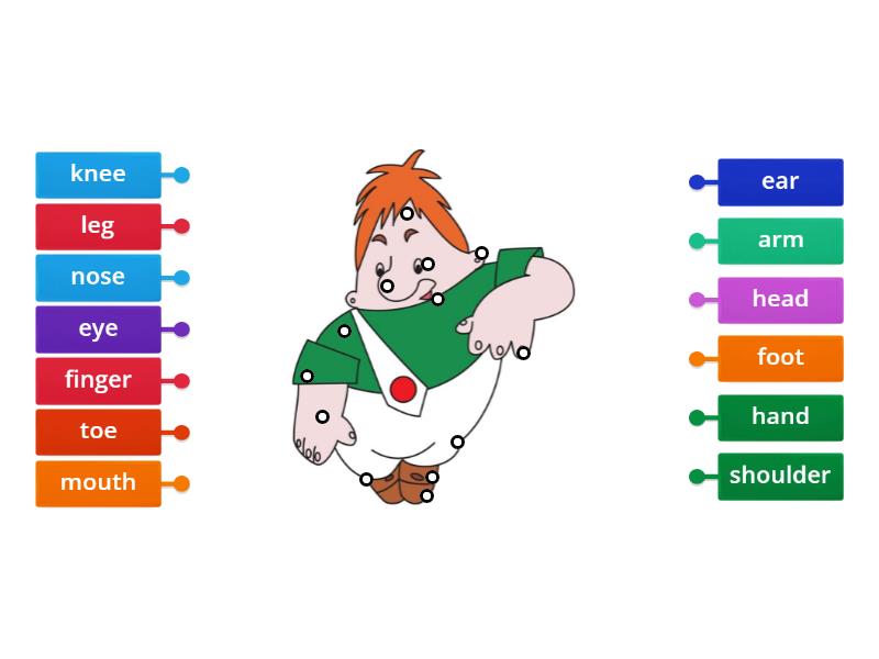 Carlson. Body Parts - Labelled diagram