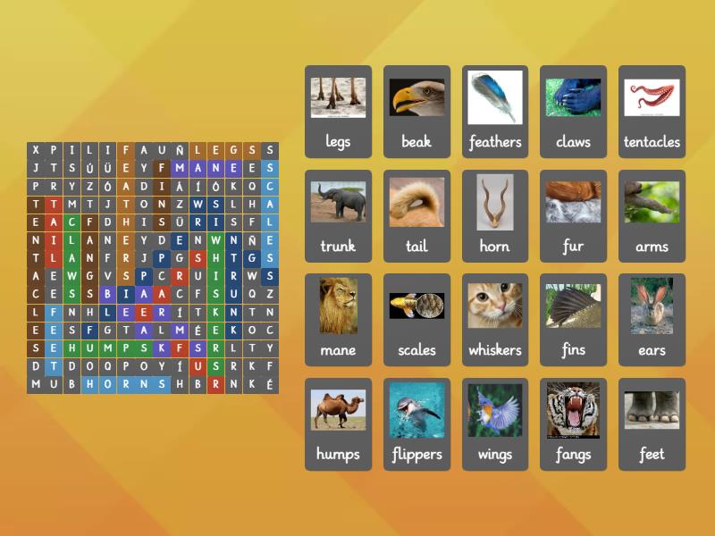 Animal body parts. Vocabulary - Wordsearch