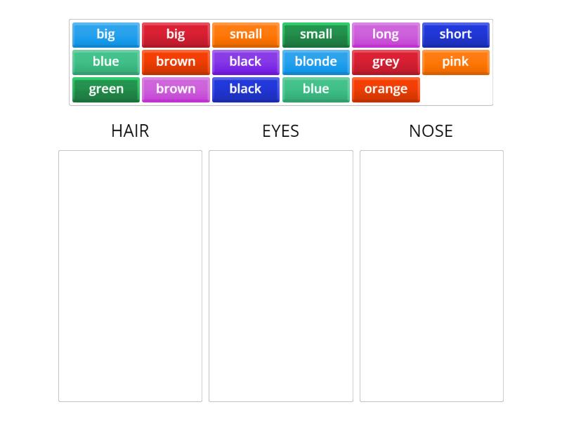 hair/eyes/nose adjectives - Categorize
