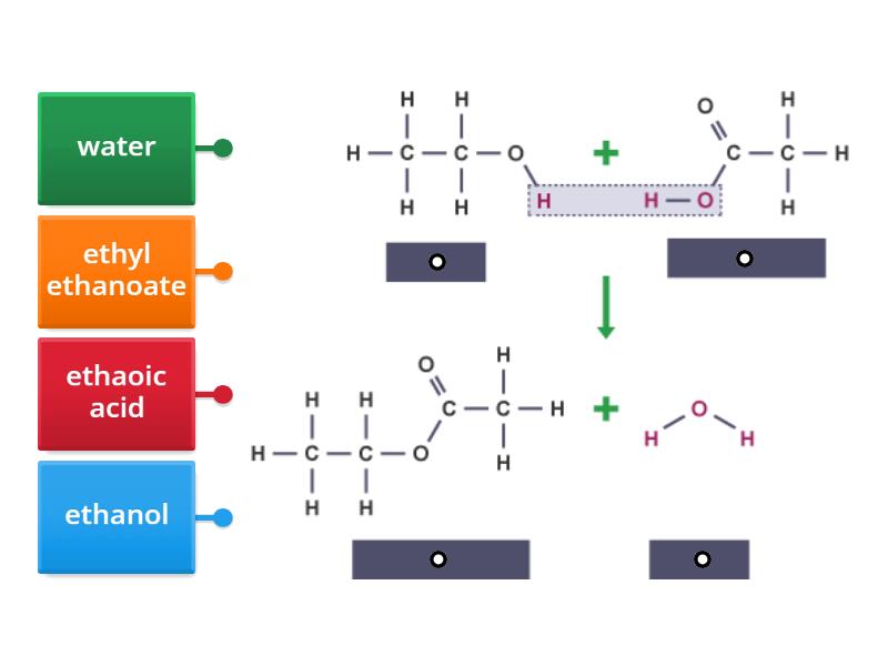 Condensation Polymers - Labelled diagram