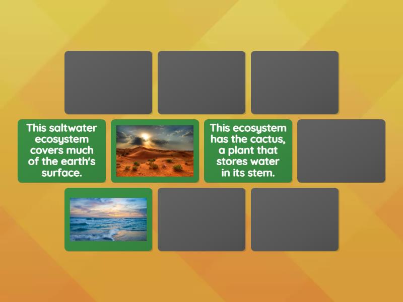 Ecosystem - Matching pairs