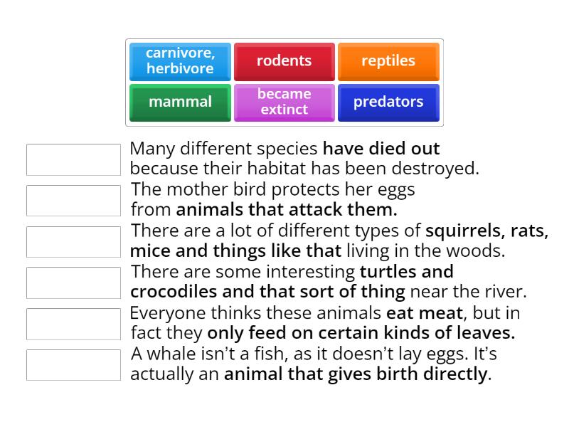Describing animals and birds - Match up