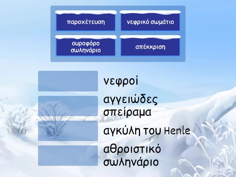 Ουροποιητικό σύστημα - Match up