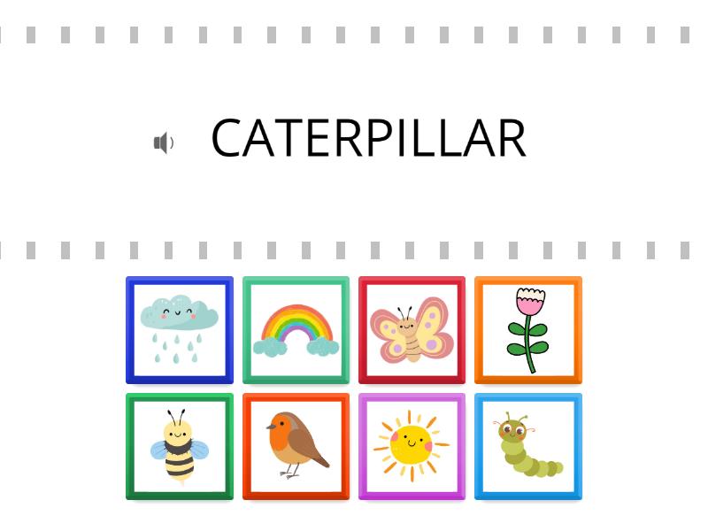 SPRING VOCABULARY - Cada oveja con su pareja