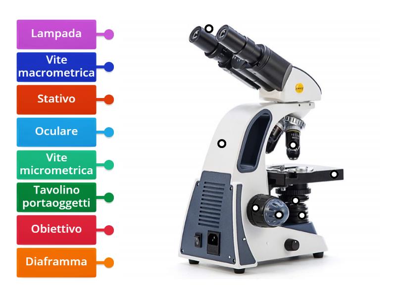 Le parti del microscopio - Labelled diagram