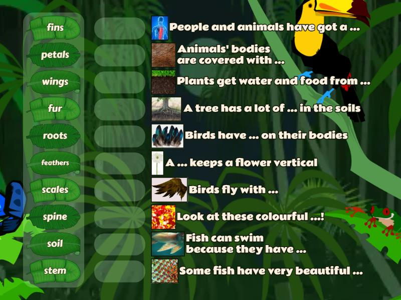 AS4 unit 8 - Сопоставить