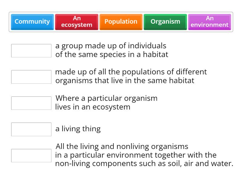 Ecosystem vocabulary - Match up