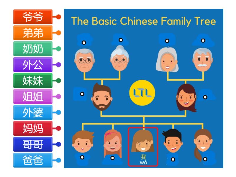 Arbol familiar chino - Labelled diagram
