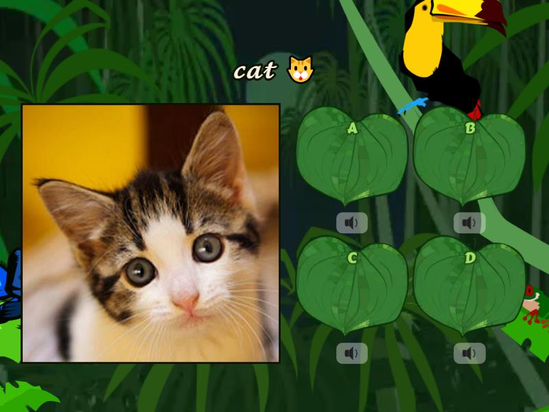 RECOGNIZE ANIMALS SOUND - Quiz