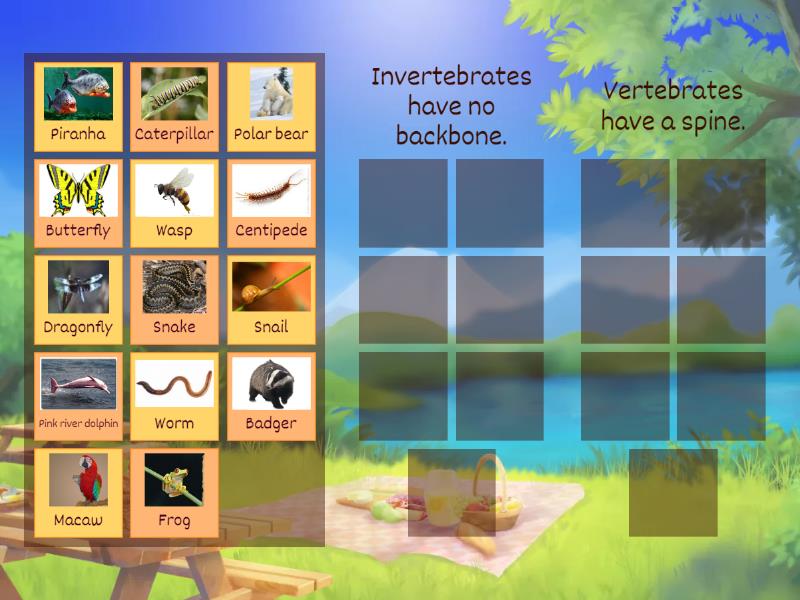 Invertebrates and vertebrates Summer 2 / Science sticky knowledge ...