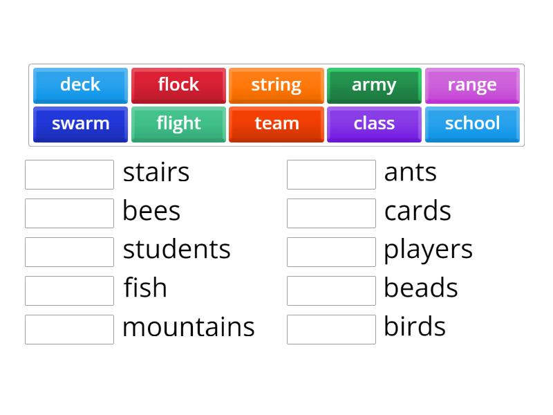 Collective Nouns Matching Game - Match up