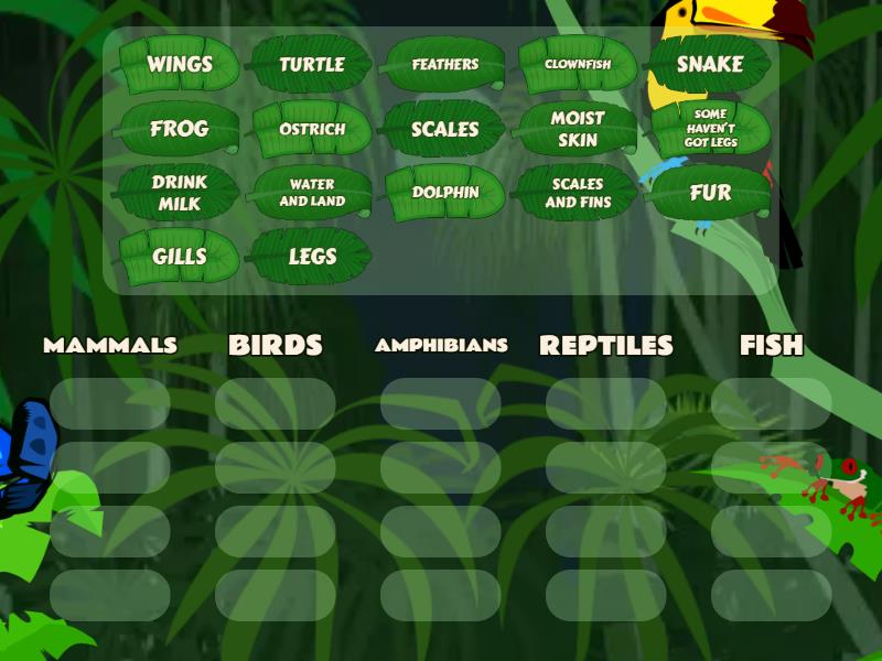 CLASSIFYING ANIMALS - Group sort