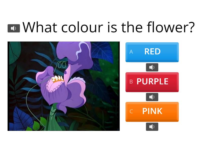 Colours - Quiz