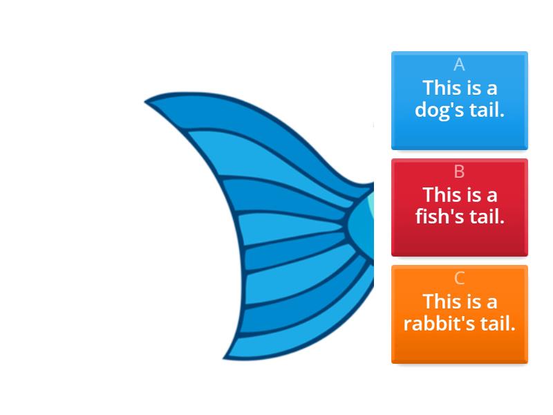 Whose tail is it? Possessive's - Quiz