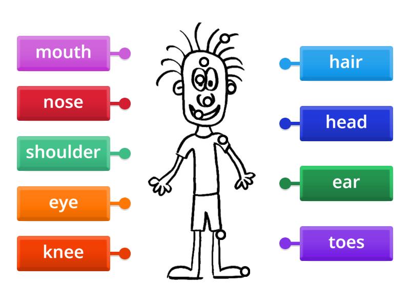 Body parts - label - Labelled diagram