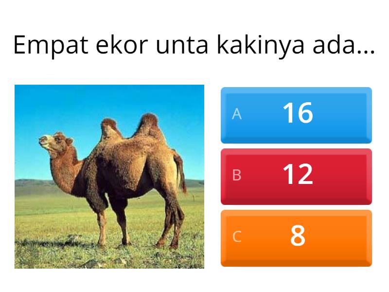 Tugas Perkalian kelas II - 測驗