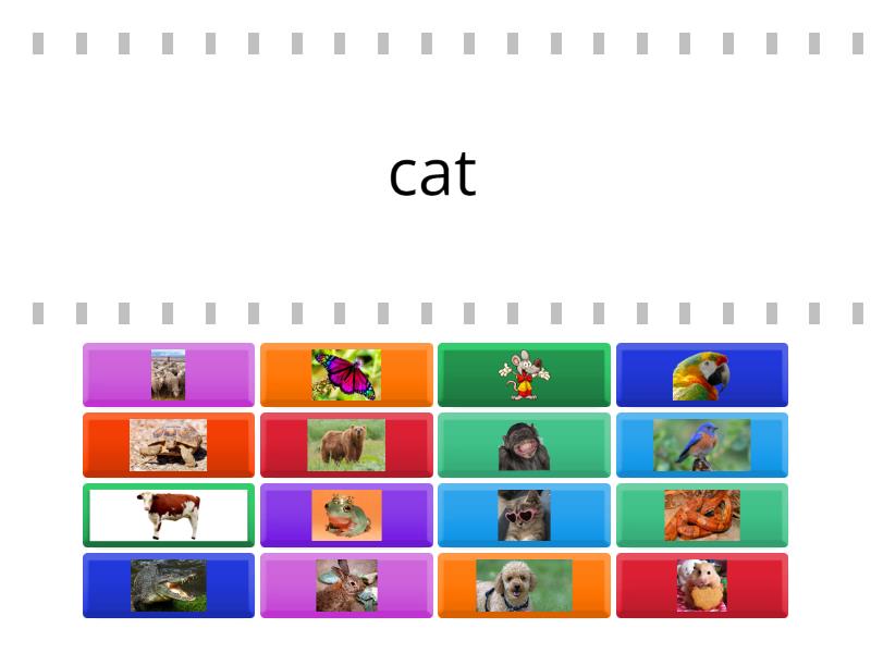 PP 1 Animals - Find the match