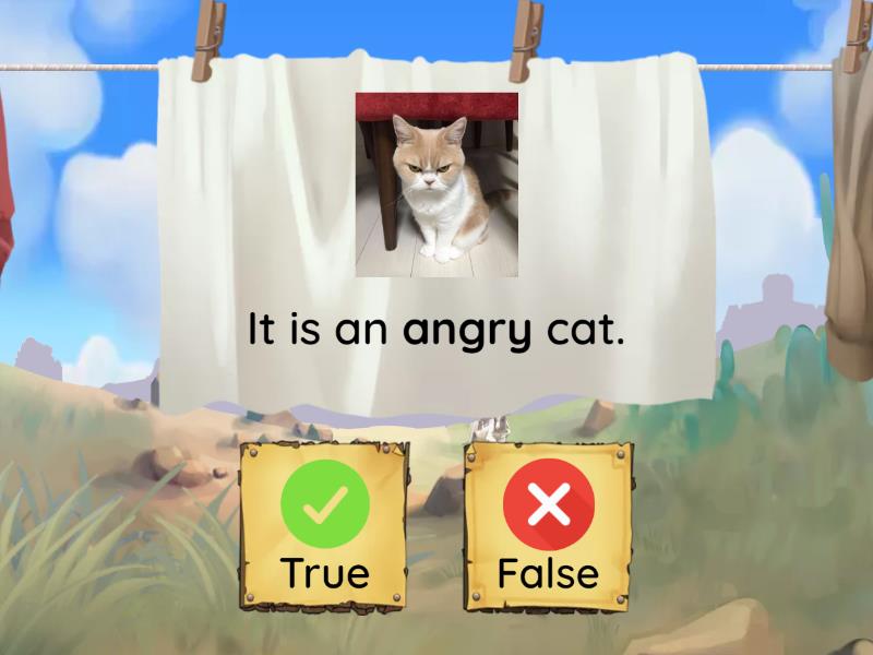 Fun with cats! (adjectives) - True or false