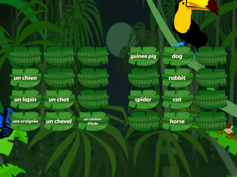 Pets (French) - Matching pairs