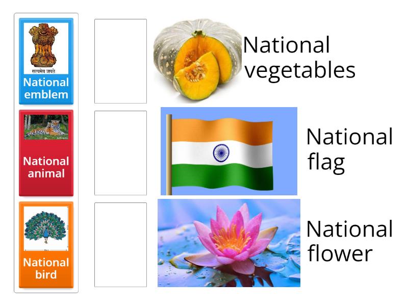 National symbols - Match up