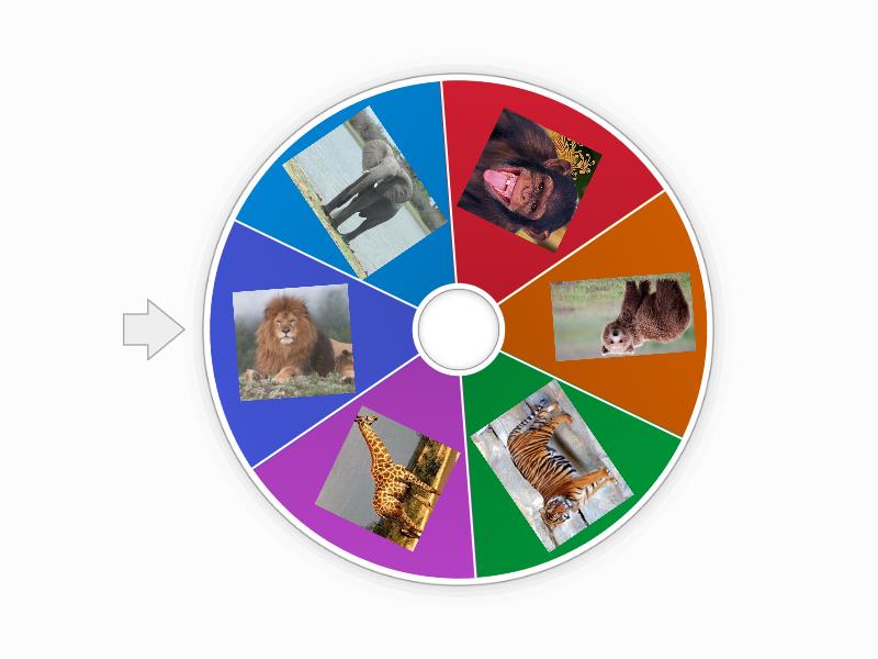 Jr3_Unit 2: Wild animals Wheel - Spin the wheel