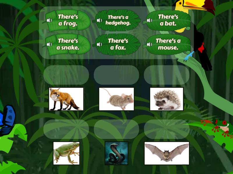 Let's explore 2 Unit 4 Lesson 4 - Match up