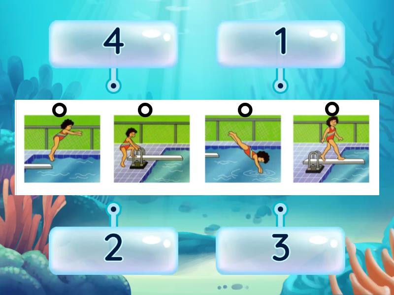 Swimming Sequencing Activity - Labelled diagram