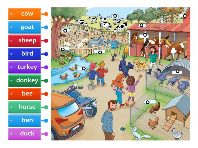 Sound Unit 5 Farm animals - Labelled diagram